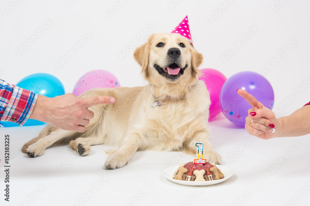 Smiling Dog Birthday