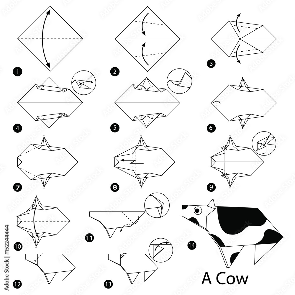 step by step instructions how to make origami A Cow Stock Vector ...