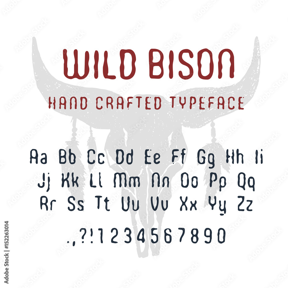 Hand drawn Wild bison font. Latin alphabet vector letters, numbers, and ...