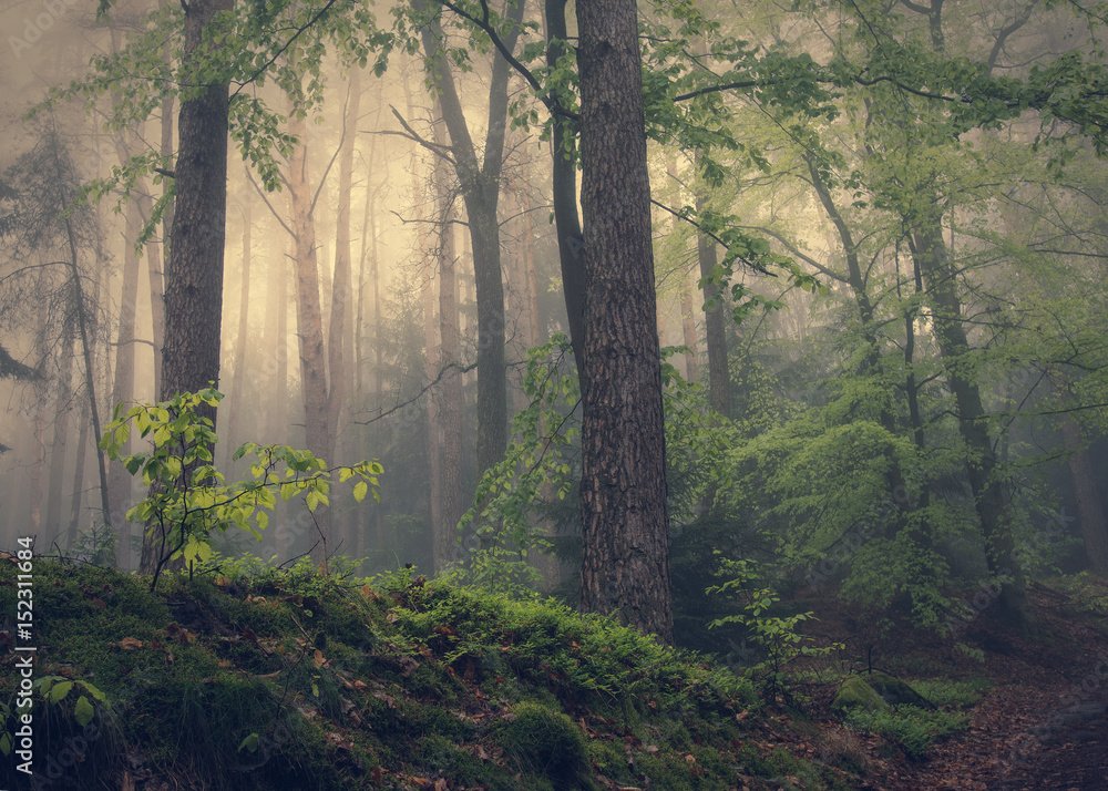 Frankenwald Stock Photo | Adobe Stock