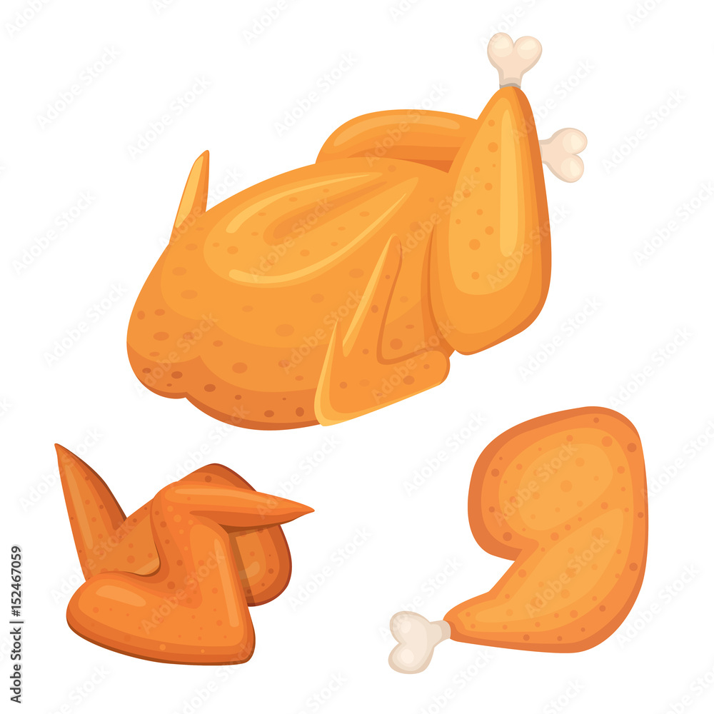 Beautiful delicious fried chicken set of illustrations in cartoon style ...