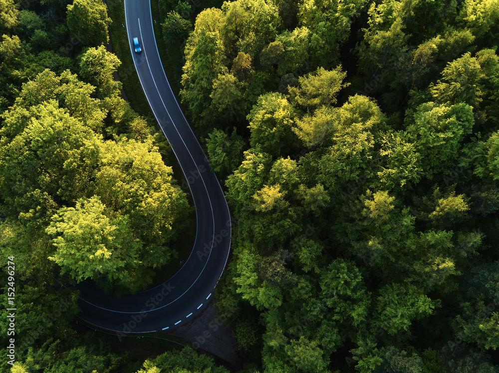 street between large trees from top with drone aerial view, landscape ...