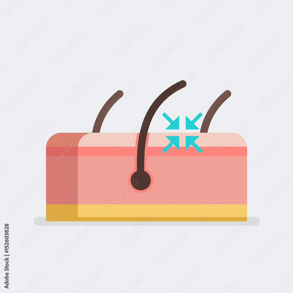 Skin vector illustration Stock Vector | Adobe Stock