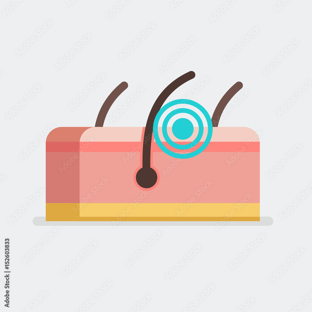 Skin vector illustration Stock Vector | Adobe Stock