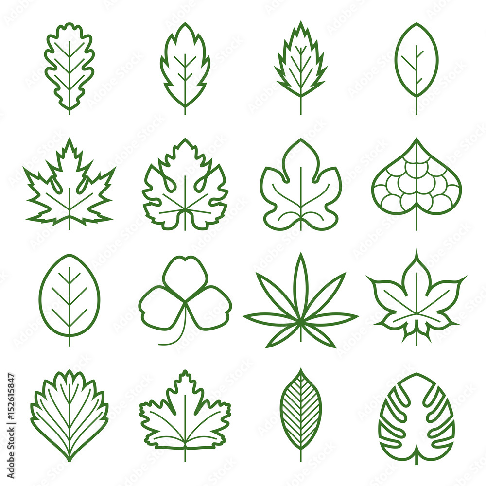 Leaf icons. Collection of green linear symbols of leaves, such as maple ...