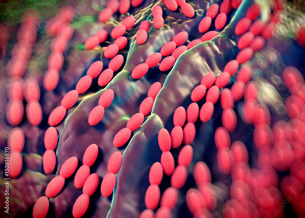 3d rendering - acetobacter bacteria Stock Photo | Adobe Stock