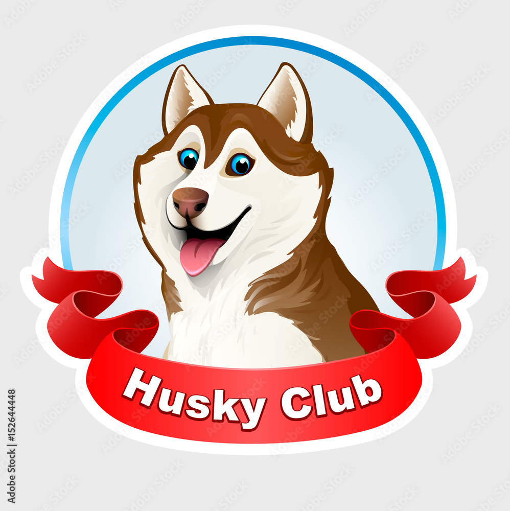 Siberian husky dog. Red, brown and white. Emblem husky club wiht red ...