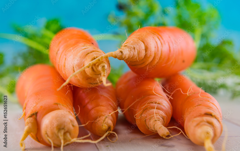 Six Fresh Carrot Tips Stock Photo | Adobe Stock
