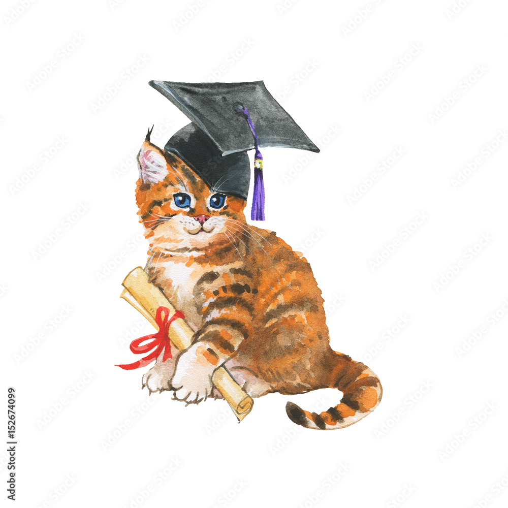 Hand drawn graduate kitten. Watercolor ginger cat in a graduation cap ...