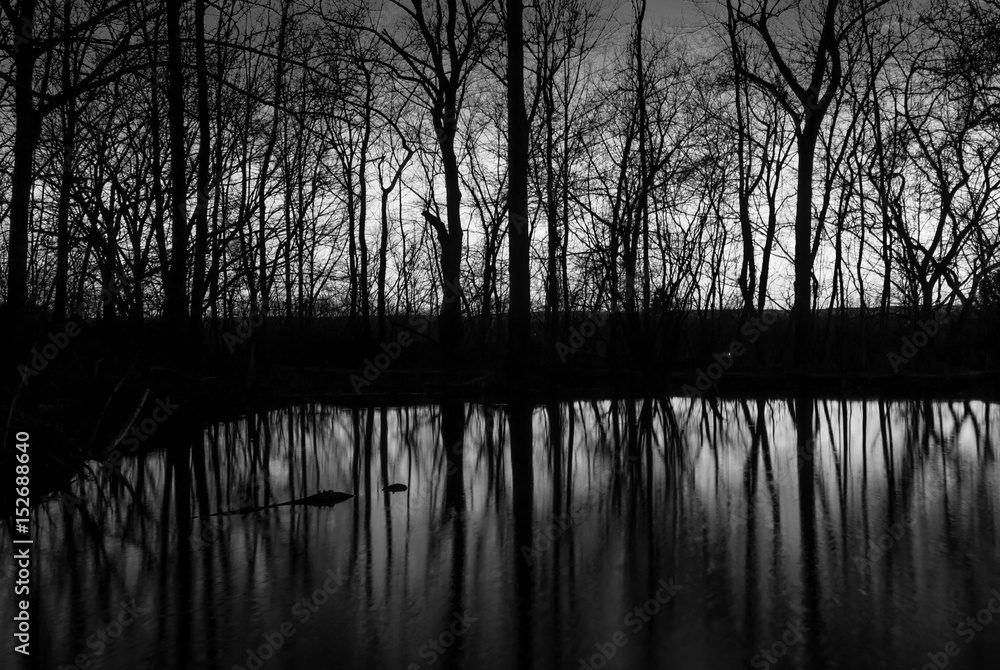 Sunset in moody dark forest. Colorful sky background in nature. Pond ...