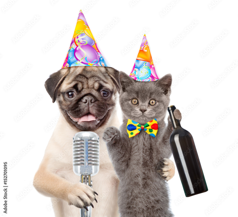 Cat Singing Karaoke