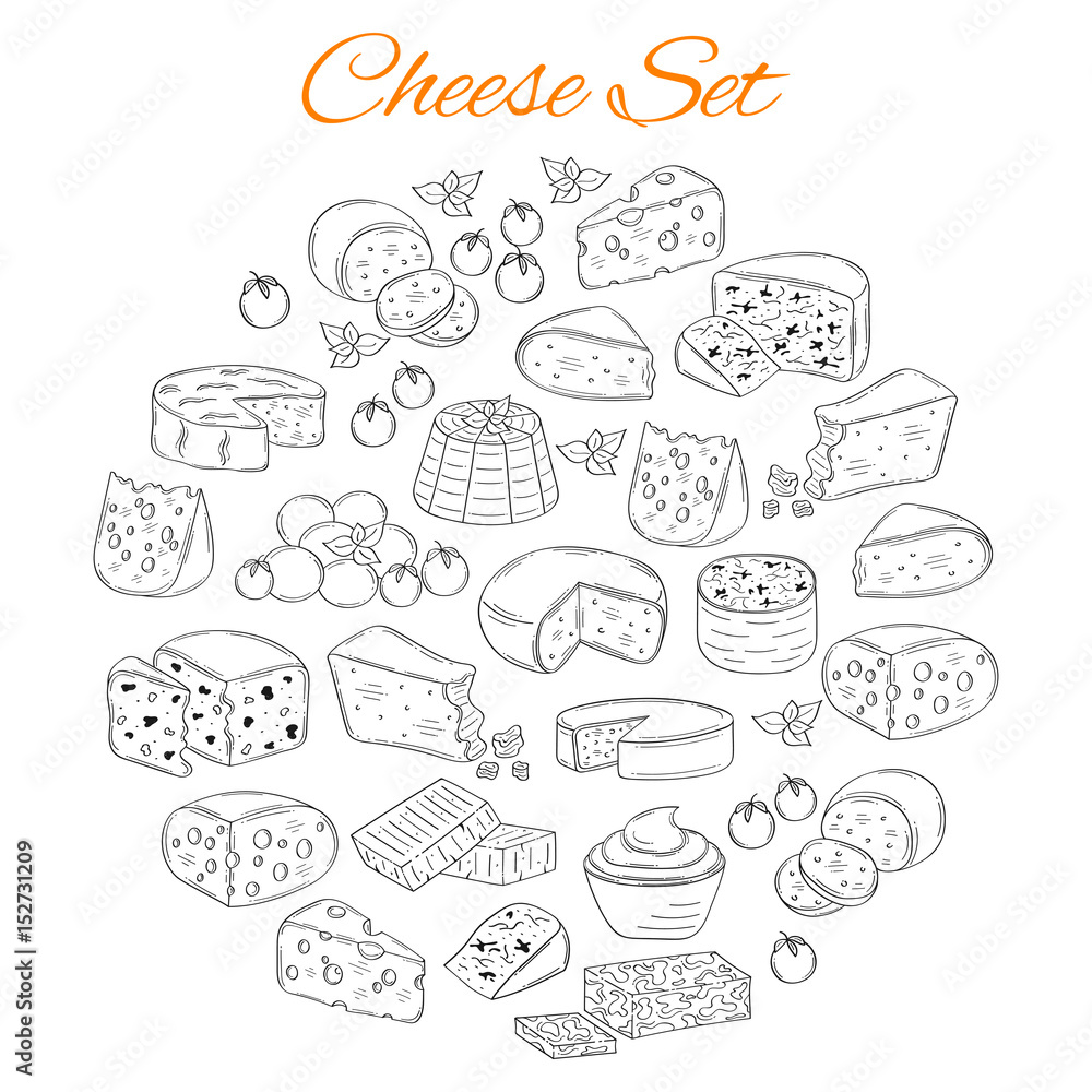 Vector set of various types of cheese, hand drawn illustration isolated ...