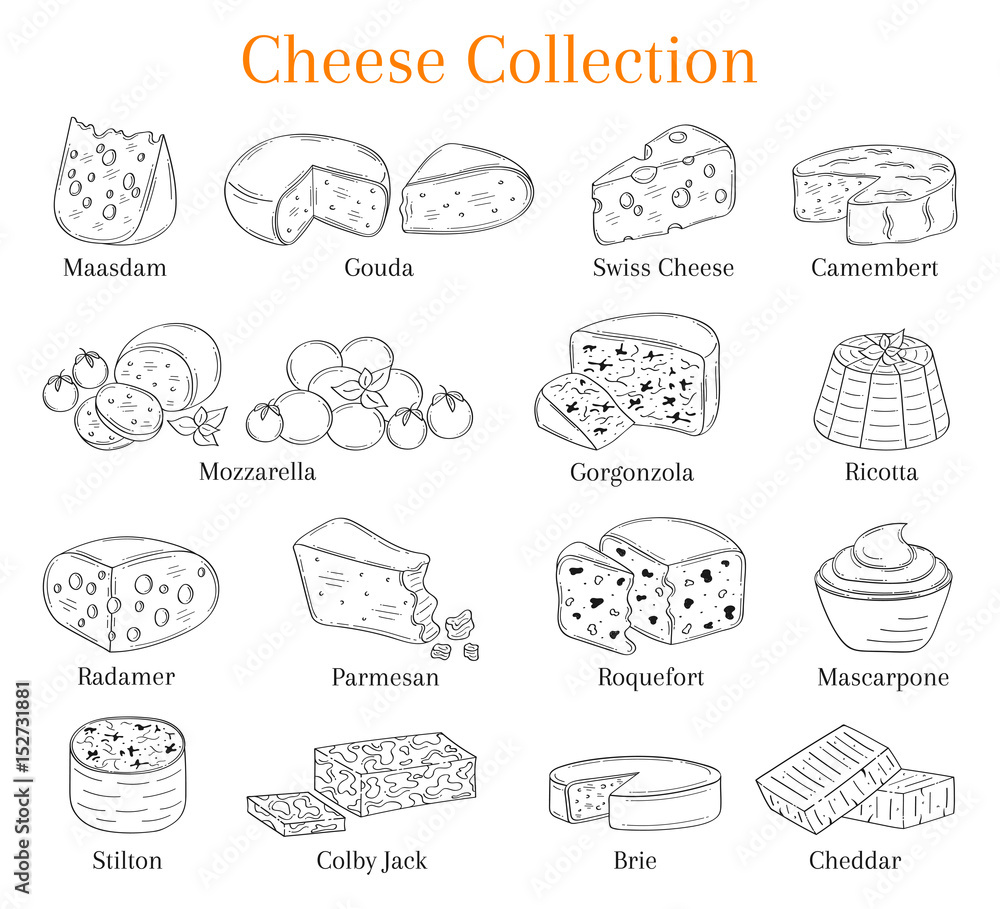 Vector set of different types of cheese, hand drawn illustration ...