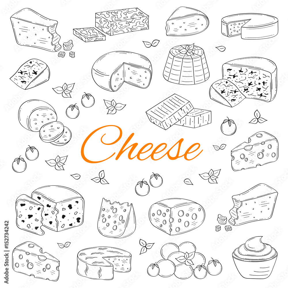 Vector set of various types of cheese, hand drawn illustration isolated ...