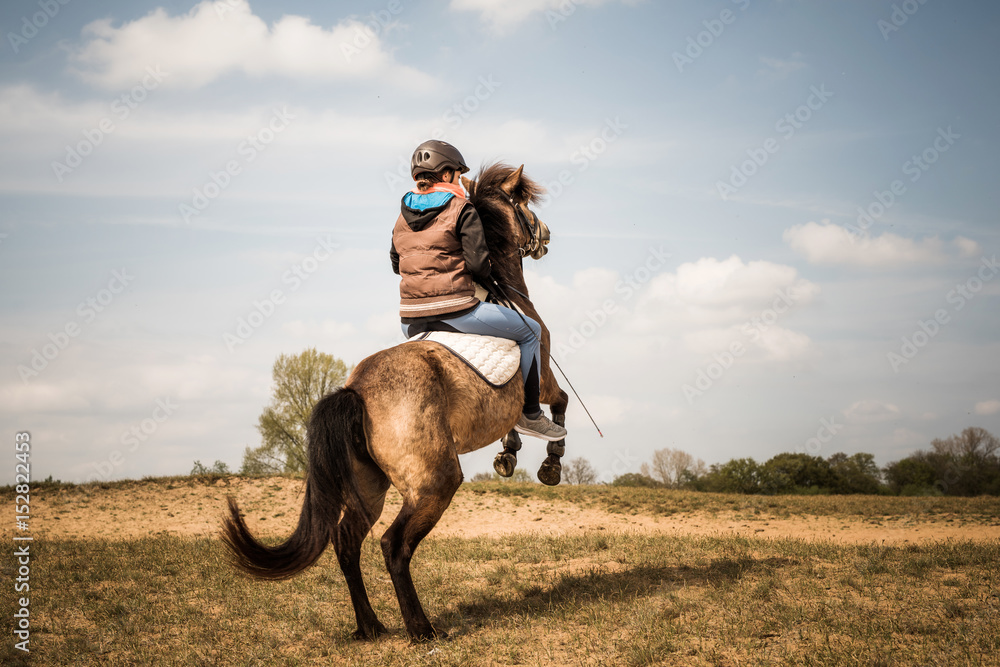 Steigendes Pferd mit Reiter Stock-Foto | Adobe Stock