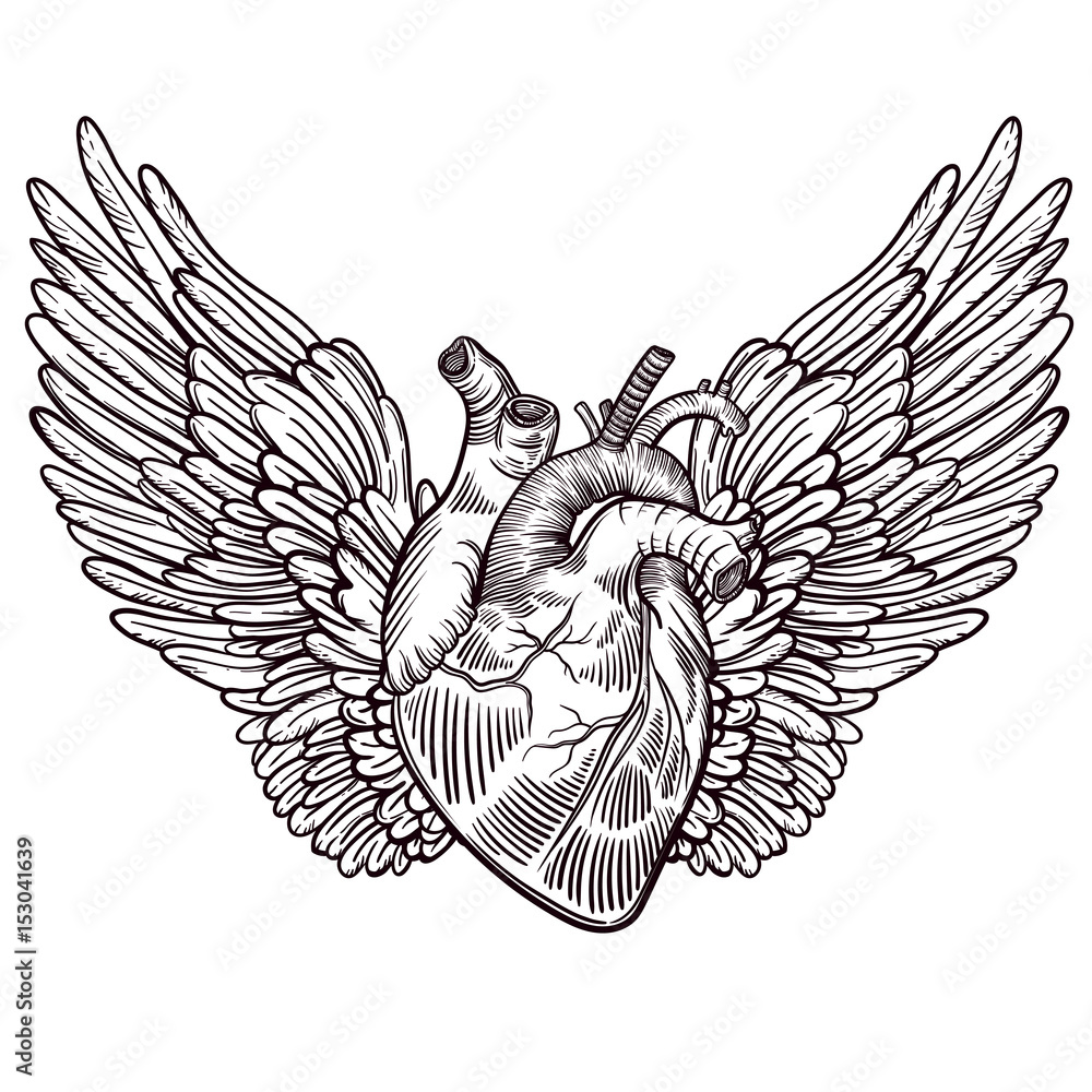 How To Draw Angel Wings For Kids