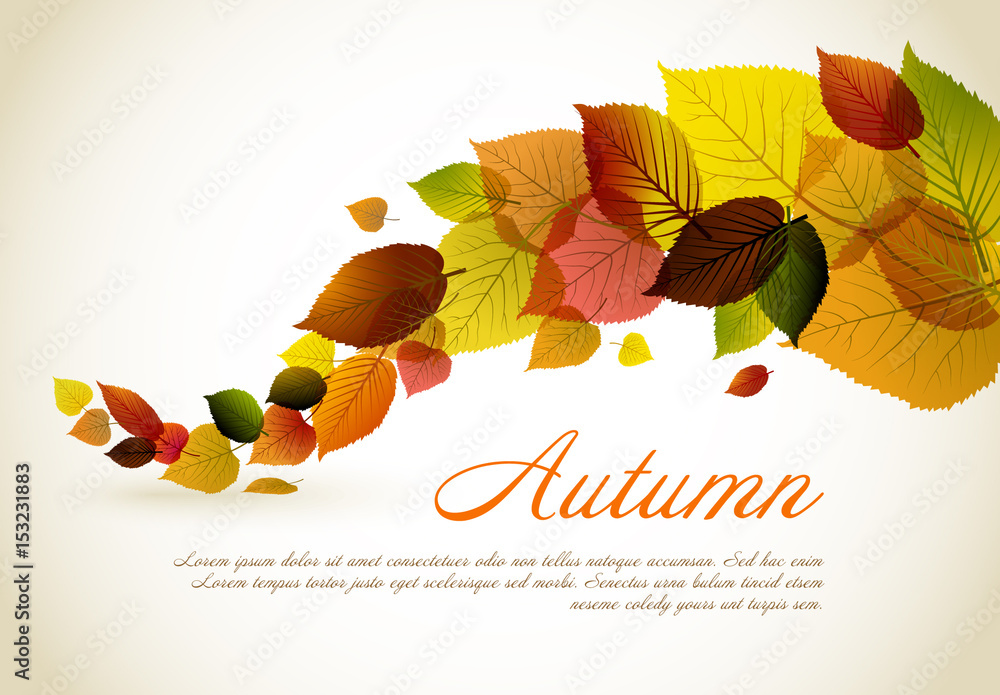 Autumn Leaves Card Layout 3 Stock Template | Adobe Stock