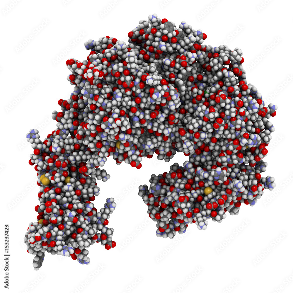 Integrin alpha-4 beta 7 (a4b7, headpiece). Cell surface protein complex ...
