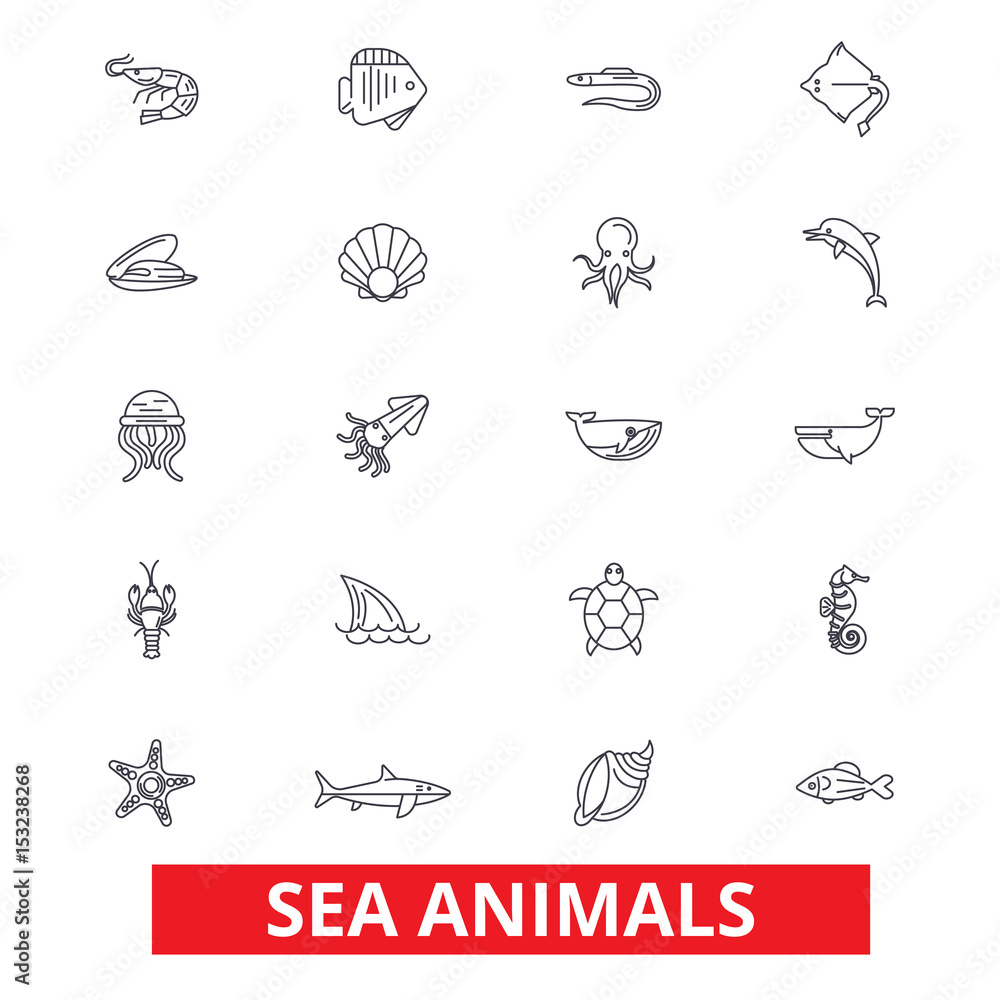 Sea animals, ocean creatures, dolphin, octopus, wild life, shark, whale ...