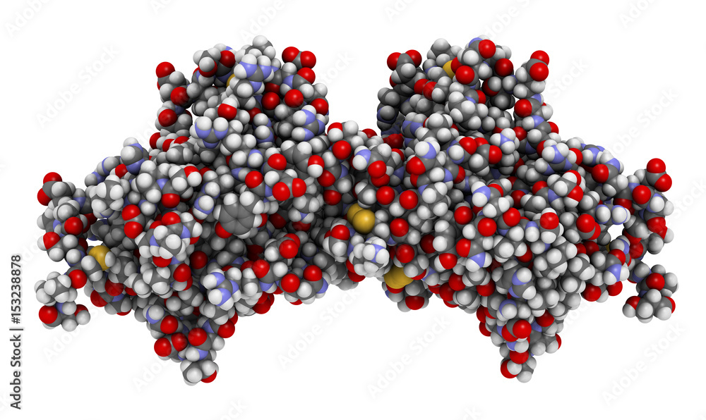Miraculin (miraculin-like protein from Murraya koenigii or curry tree ...
