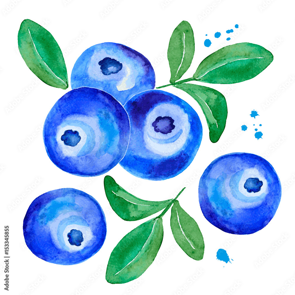 Vecteur Stock Postcard of a watercolor blueberry. | Adobe Stock