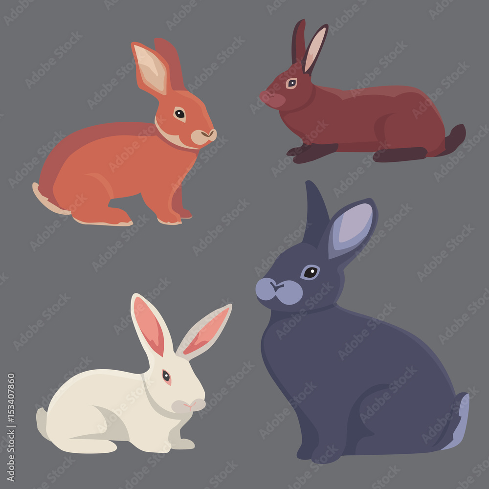 vector illustration of cartoon rabbits different breeds. Fine bunnys ...