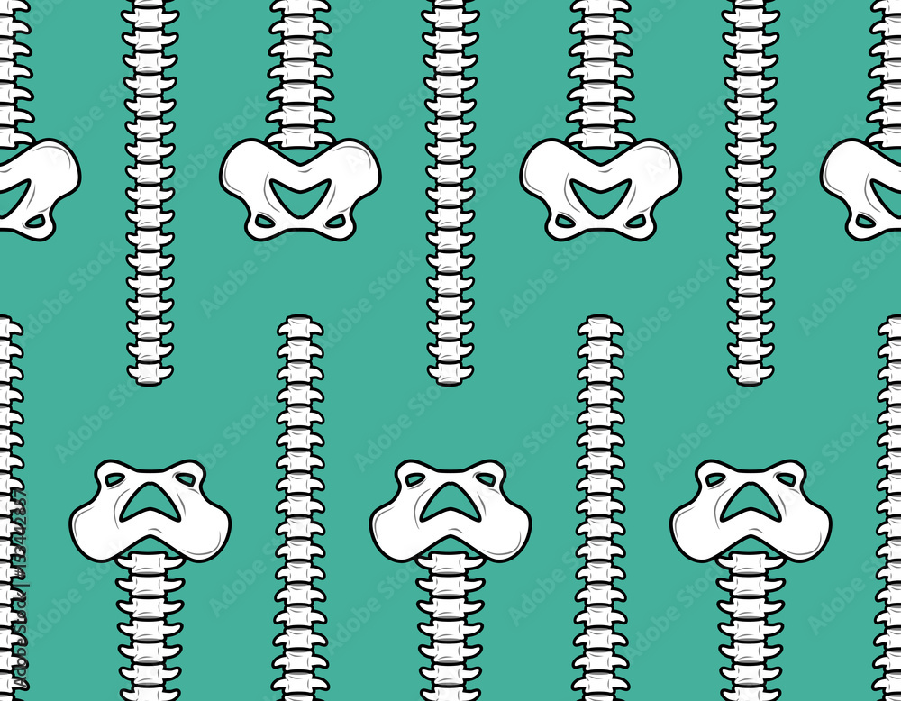 Spine and pelvis seamless pattern. Bone ornament. Medical anatomy ...