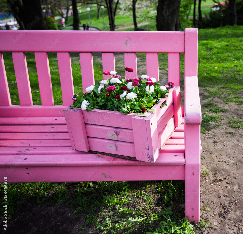 Decorative box with vibrant flowers standing on the pink garden bench ...