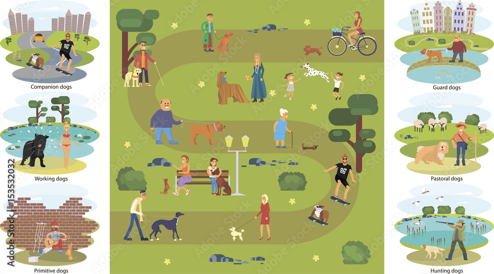 Dog types and categories Infographic. Different breeds of dogs with ...