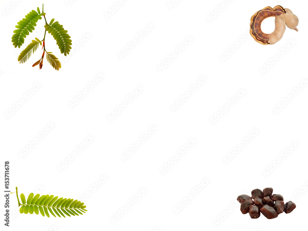 Tamarind - Sweet ripe tamarind with isolated on a white background ...