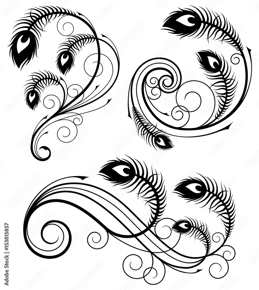 Peacock feather swirls design elements. Vector illustration. Stock ...