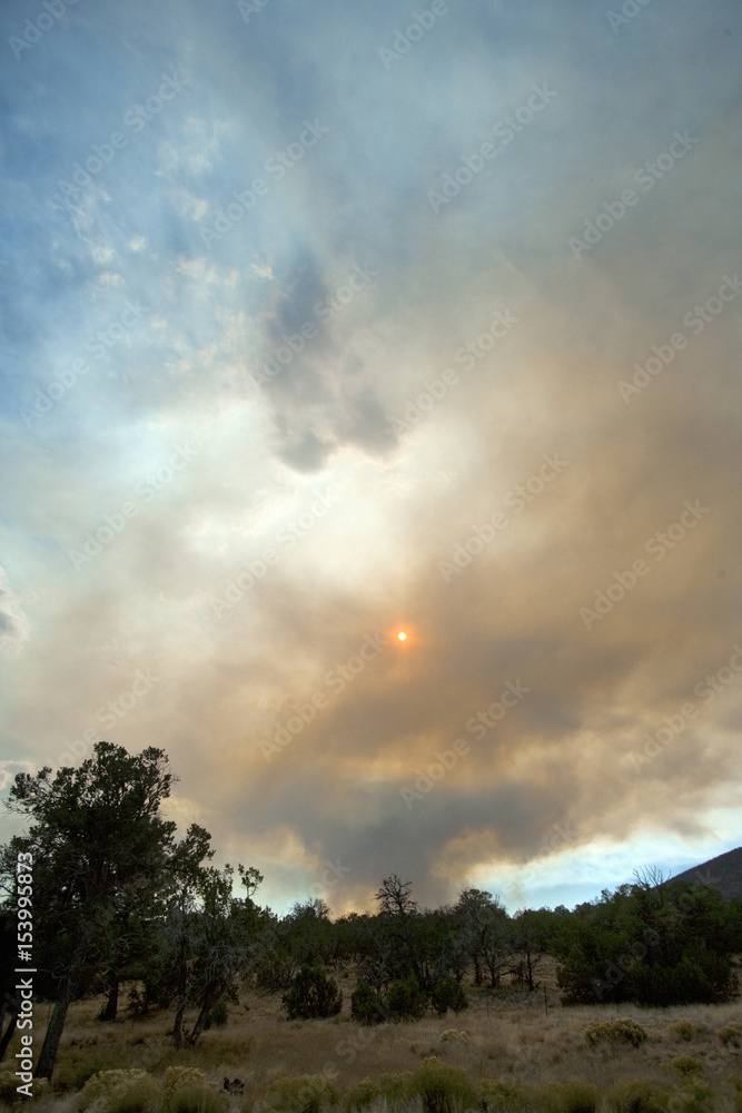 Forest Sunshine Through Clouds