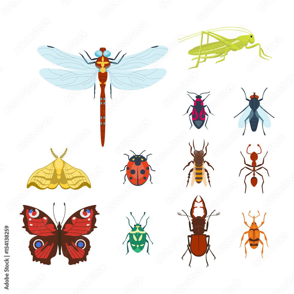 Colorful insects icons isolated wildlife wing detail summer bugs wild ...