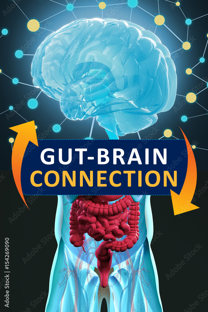 Gut Brain Connection Or Gut Brain Axis Concept Art Showing A