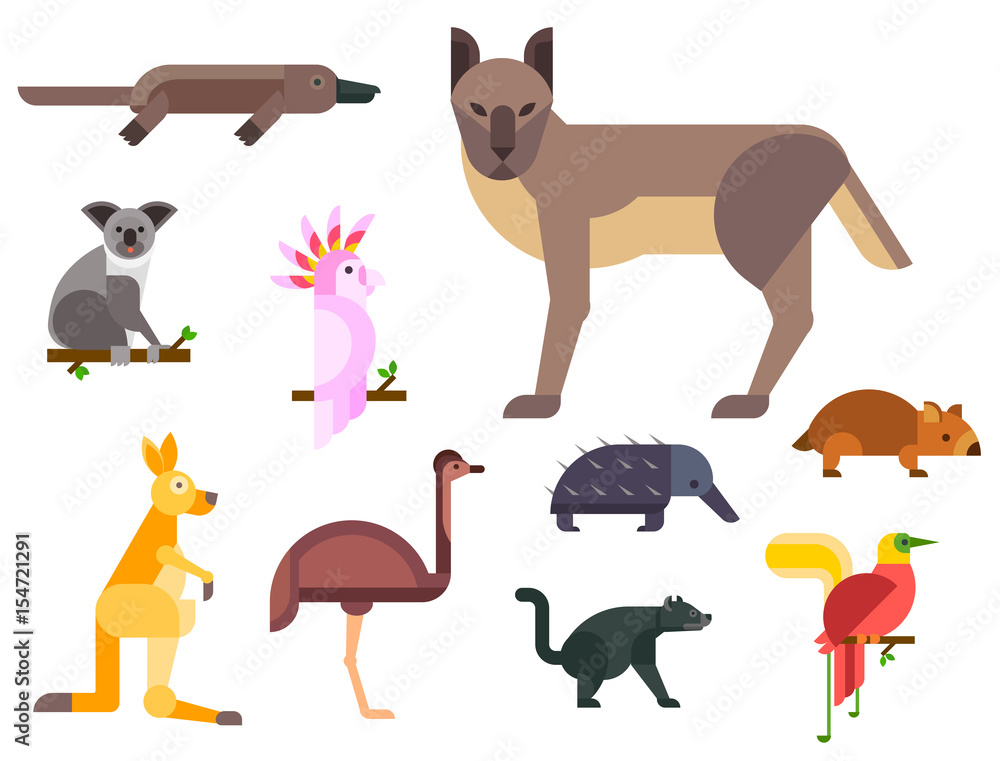 Australia wild animals cartoon popular nature characters flat style and ...