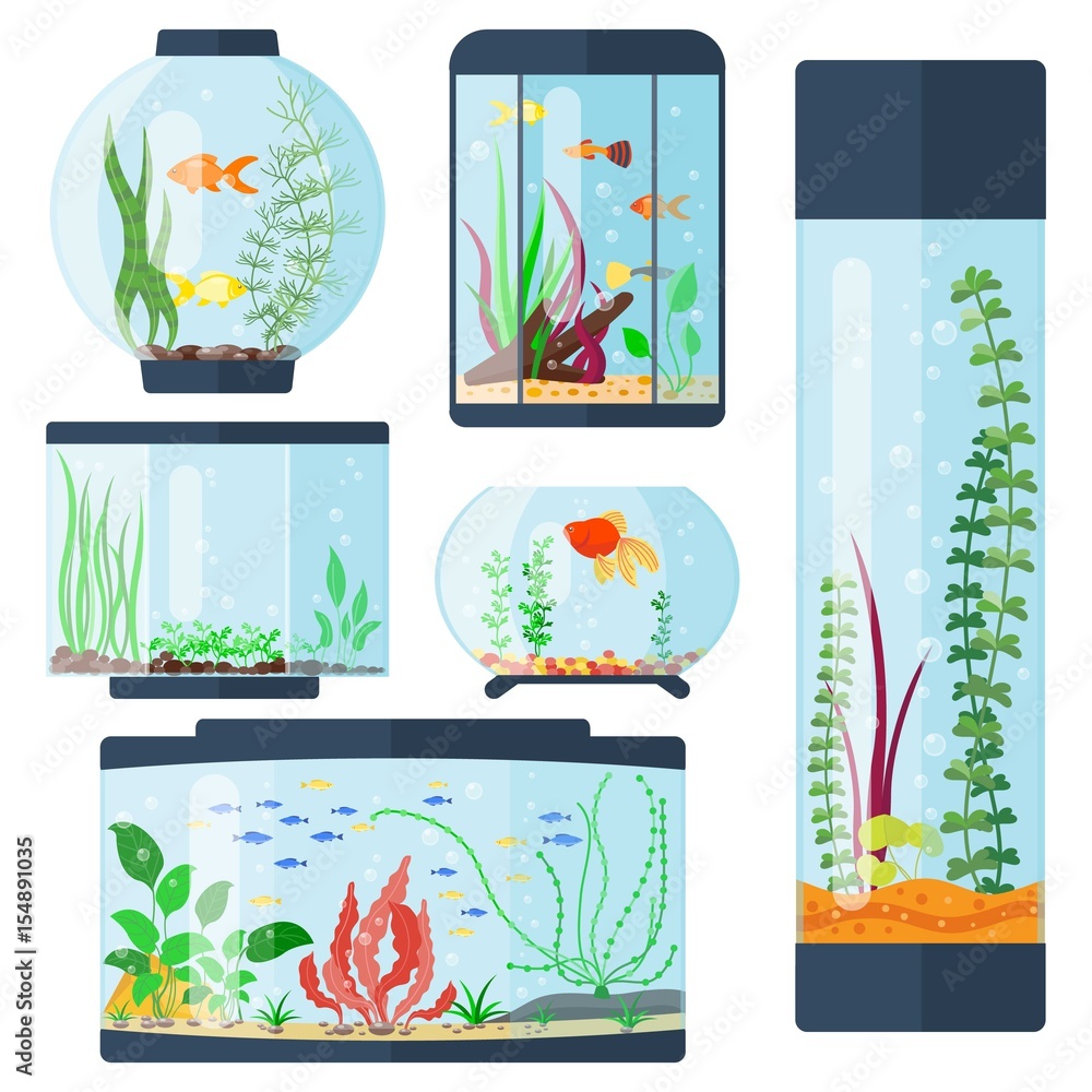 Fish Habitat Clipart