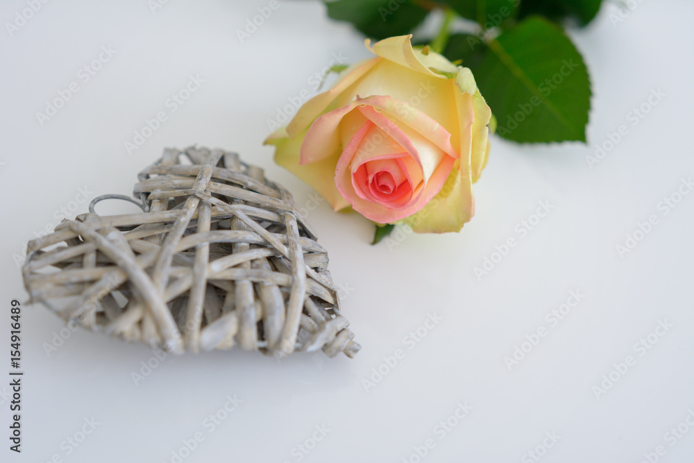 Rose mit Herz auf weissem Hintergrund Stock-Foto | Adobe Stock