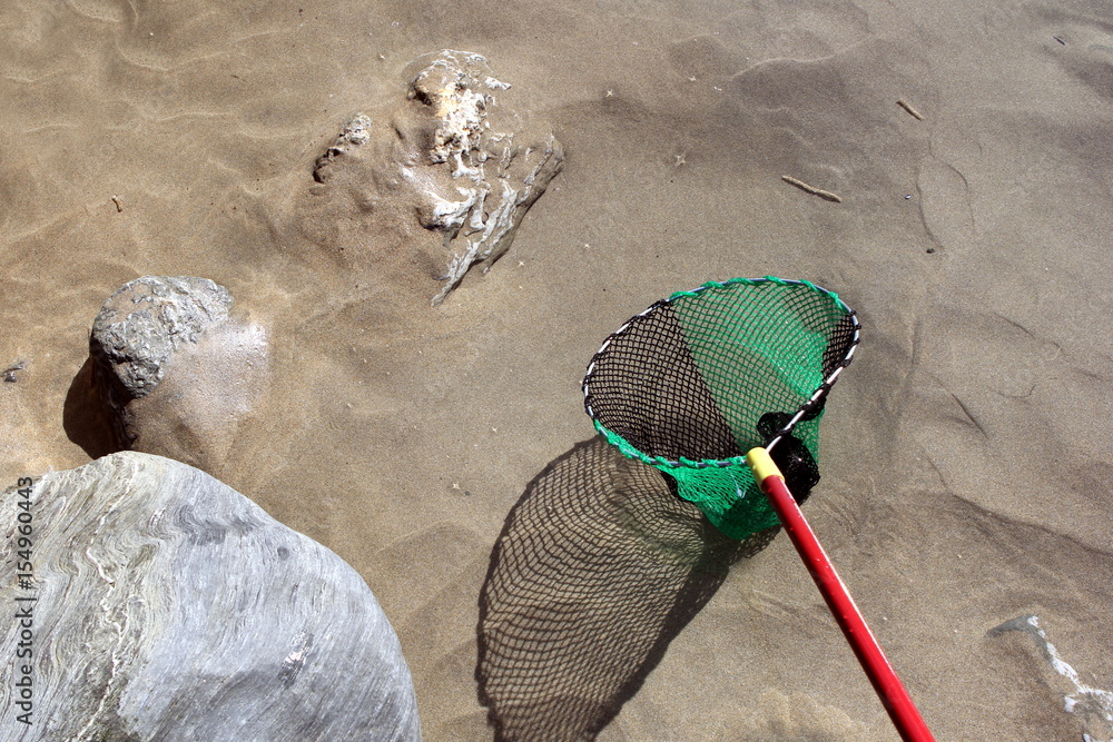 Child's fishing net for catching fish and other small sea creatures in ...