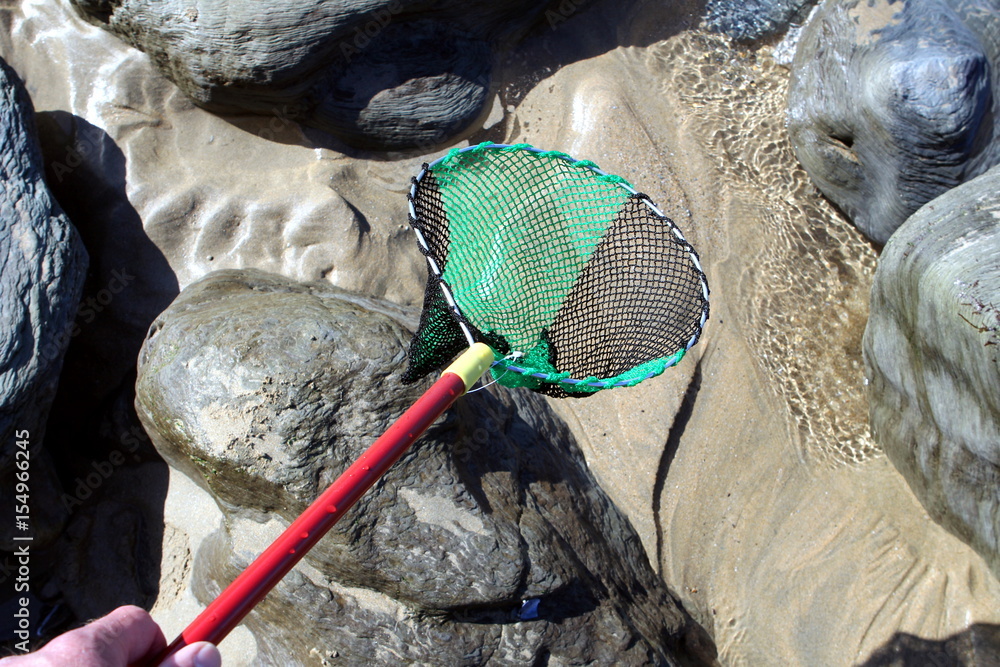 Hand holding a child's fishing net for catching fish and other small ...