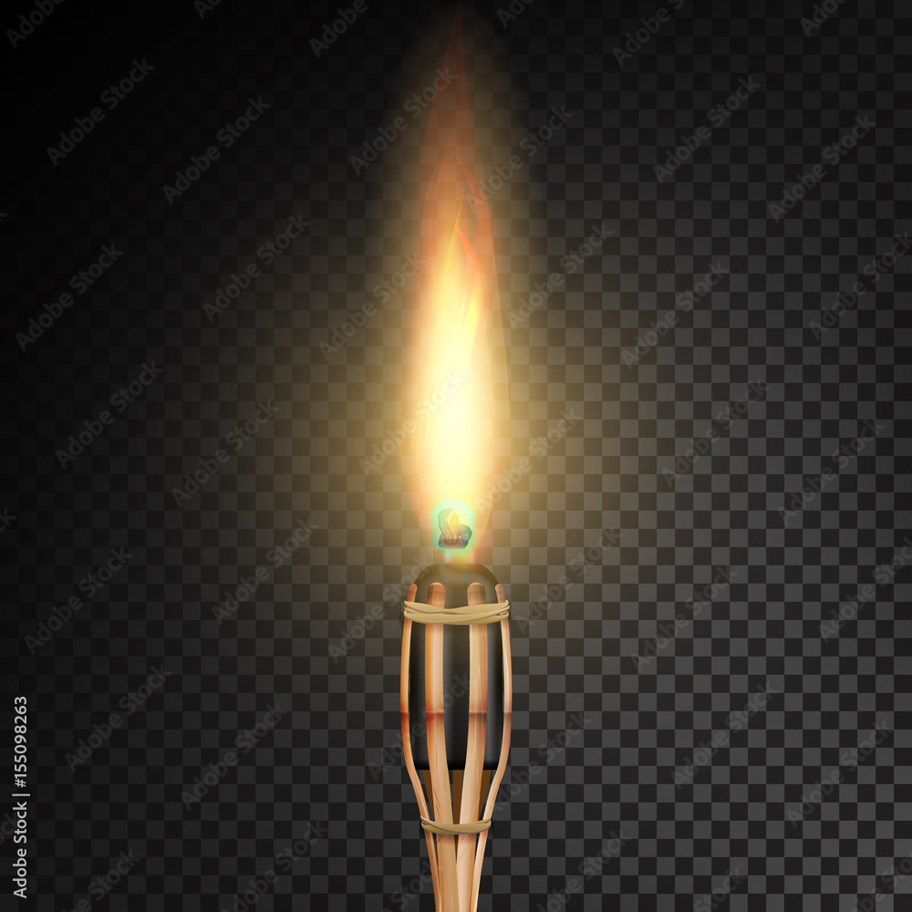 Burning Beach Bamboo Torch With Flame. Realistic Fire. Realistic Fire ...