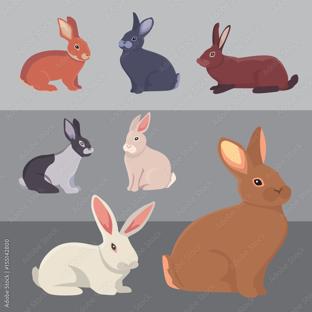 vector illustration of cartoon rabbits different breeds. Fine bunnys ...