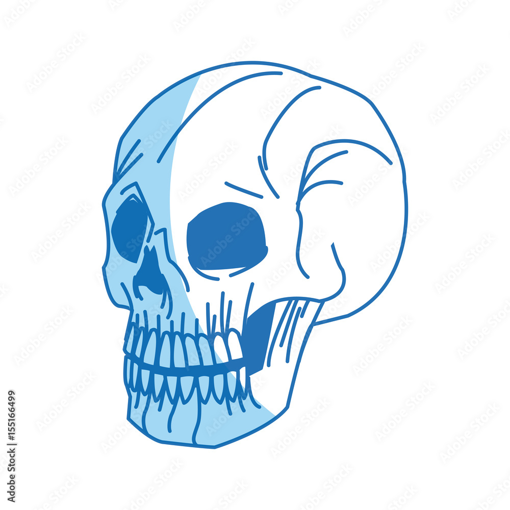 skeleton of the human head, vintage bone vector illustration Stock ...