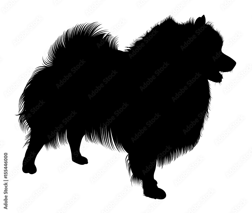 Black silhouette of spitz. Vector. isolated on white background. Spitz ...