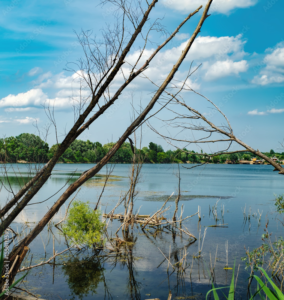 Rural Ukrainian landscape. Countryside in Irpin, Kiev oblast, Ukraine ...
