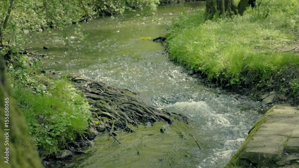 Small stream flowing through a picturesque valley with meadows and ...