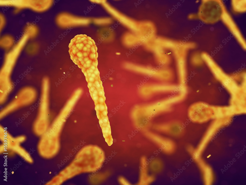 Tetanus is an infectious disease caused by the pathogenic bacteria ...