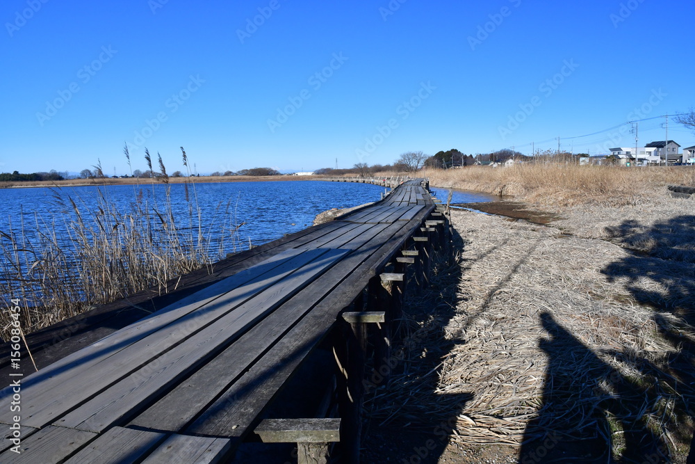 Morning view of Tatara Swamp in Winter. At Tatebayashi, Gunma, Japan ...
