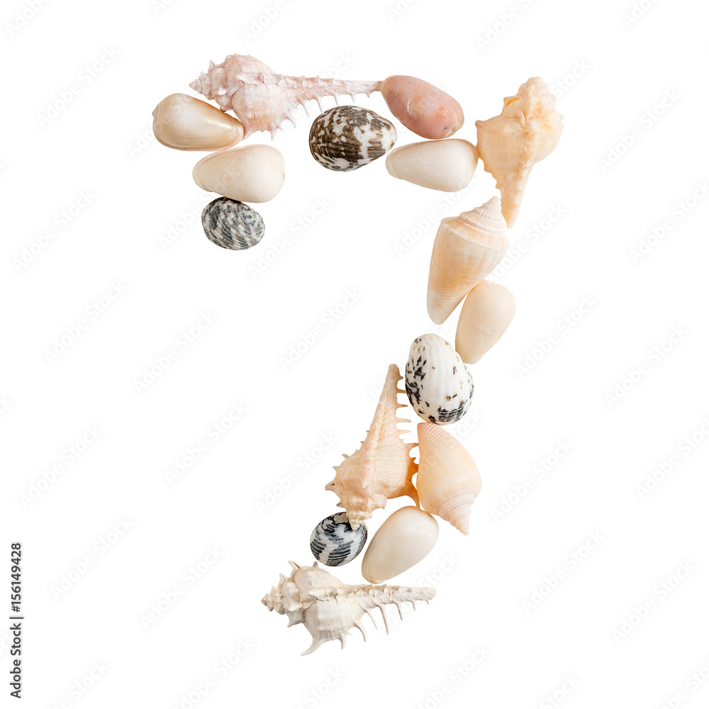 various sea shells number 7 on isolated white background Stock Photo ...