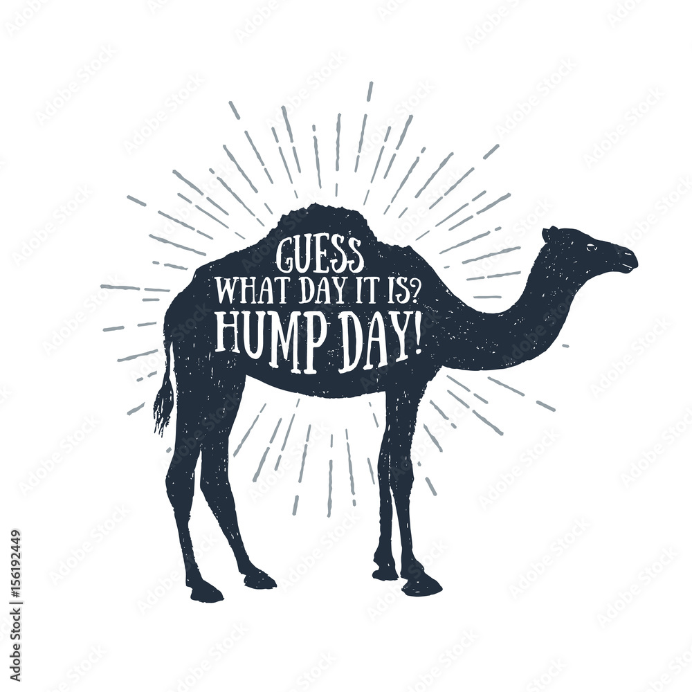 Hump Day Camel Funny