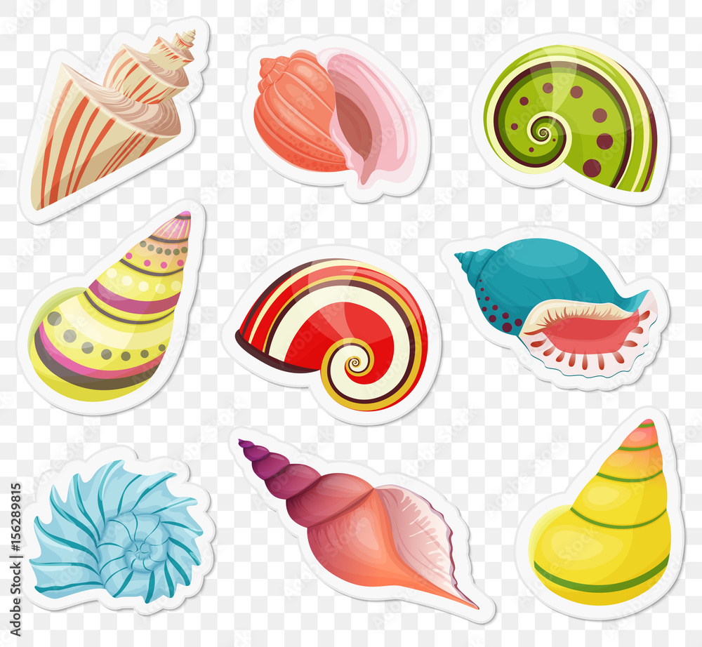 Vector cartoon sea shells stickers set on the transperant alpha ...